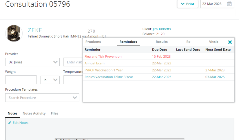 Announcing the NEW Neo Consult Page | IDEXX Software
